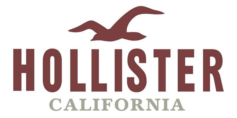 小海鸥hollister图标