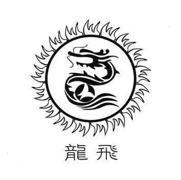 龙飞艺术签名设计免费版图标