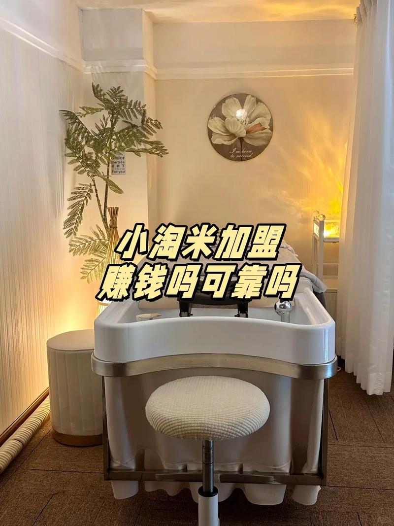 小淘米赚钱怎么样啊图标