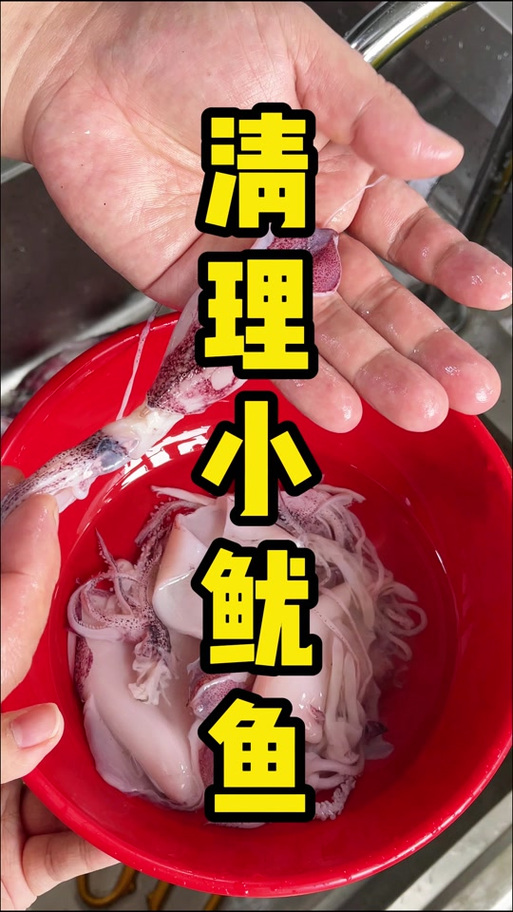 小鱿鱼找妈妈游戏截图