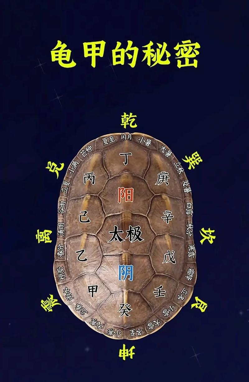 龟背免费摇卦在线图标