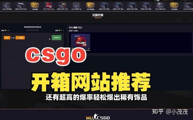 人在国外怎么玩国服csgo图标