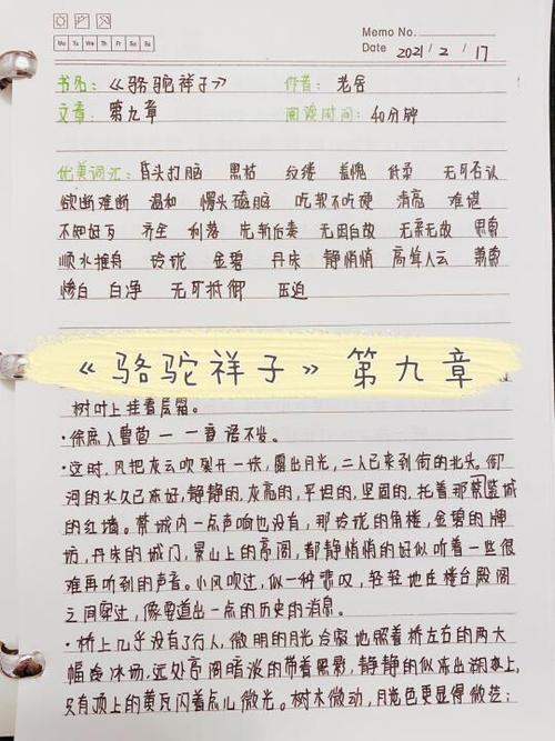 骆驼祥子读书笔记摘抄图标