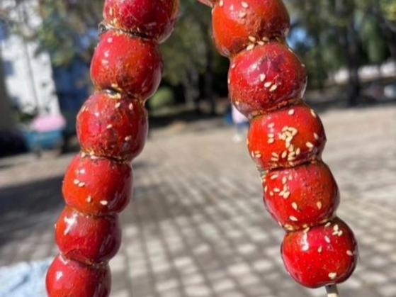 冰糖葫芦图片大全高清图标