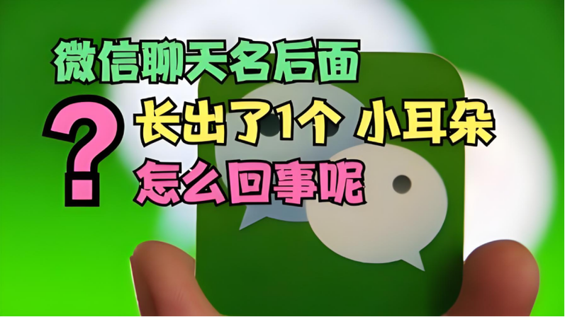 安装小耳朵是什么意思图标