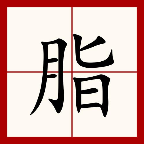 轻食减脂图标