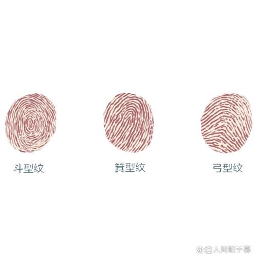 xsmax可以指纹解锁吗图标