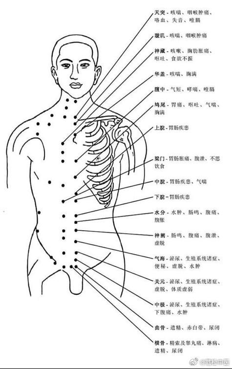 针灸常用40个部位图图标