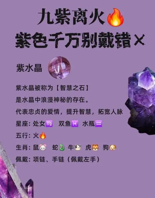 紫色的紫在五行中属什么截图