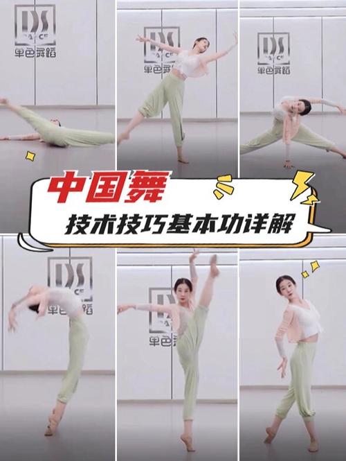 领舞基本功视频教程截图