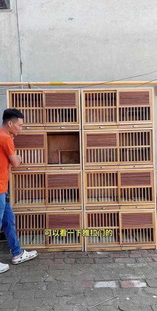 鸽子配对笼图标
