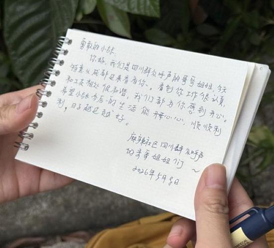 第三方手写笔截图