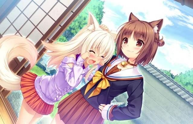 猫娘乐园下载教程截图