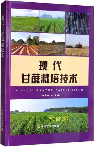 甘蔗的栽培技术图标