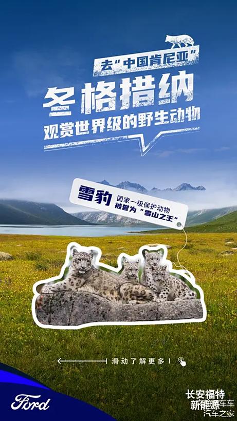 看动物去哪个国家截图