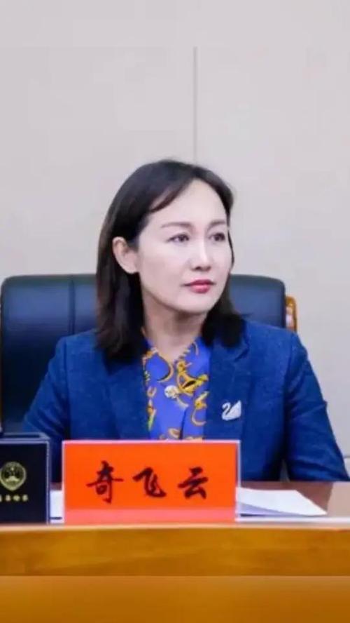起飞云TV版图标