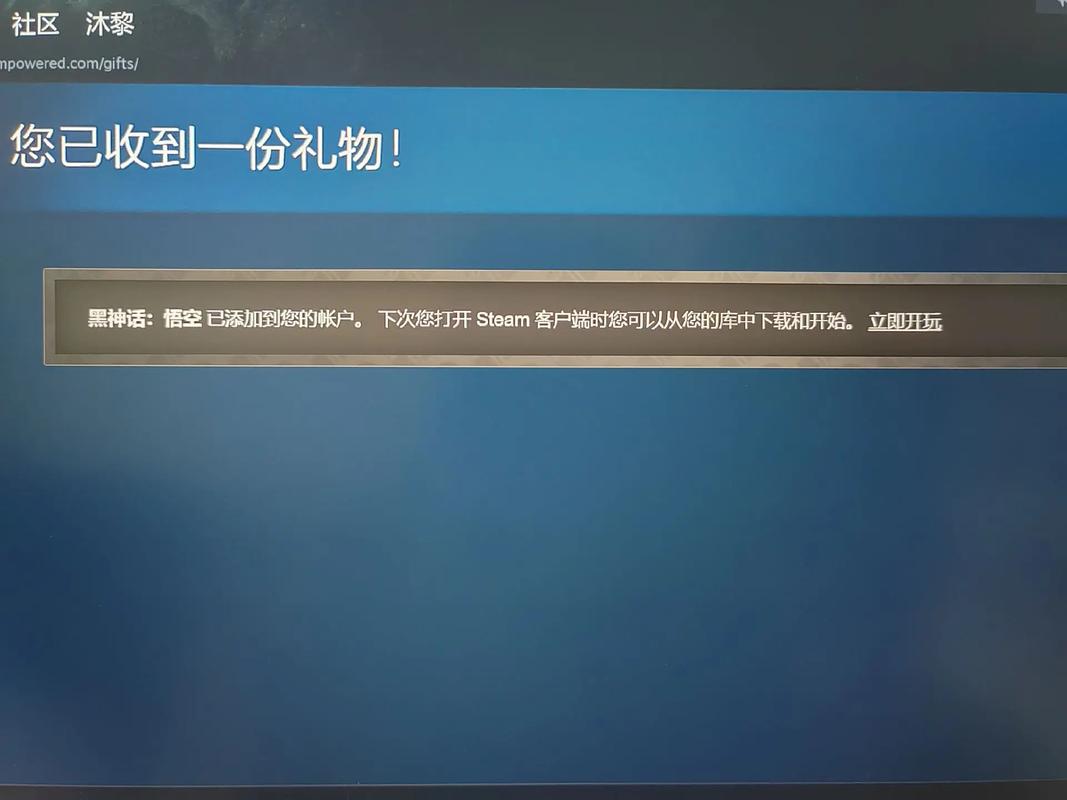 steam赠送已购买游戏图标