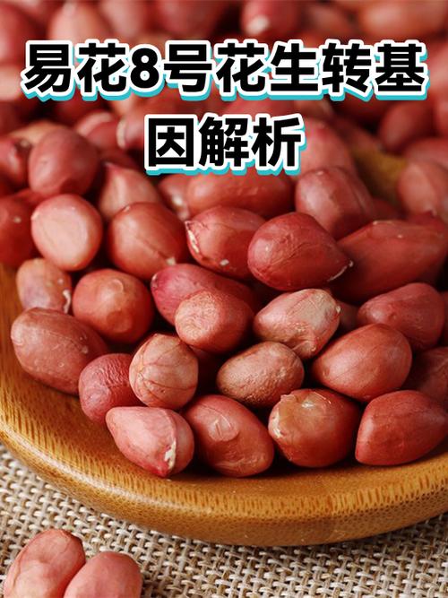 花生转是什么平台