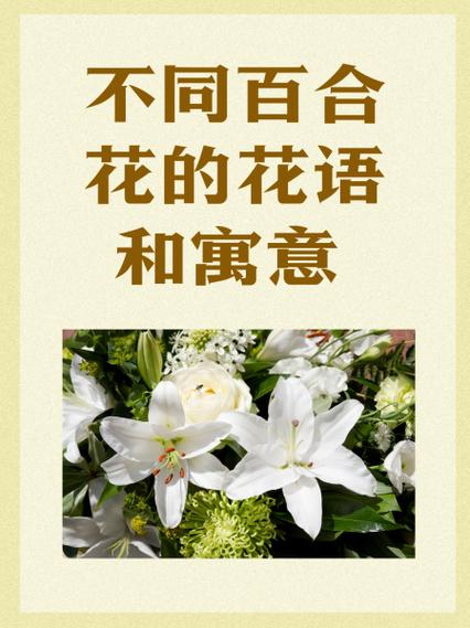 百合花在作品中的深刻寓意图标