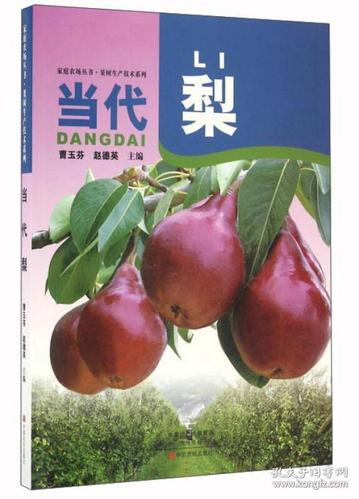 梨树文学网图标