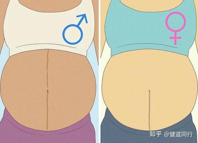 怀女孩子和怀男孩子的区别图标