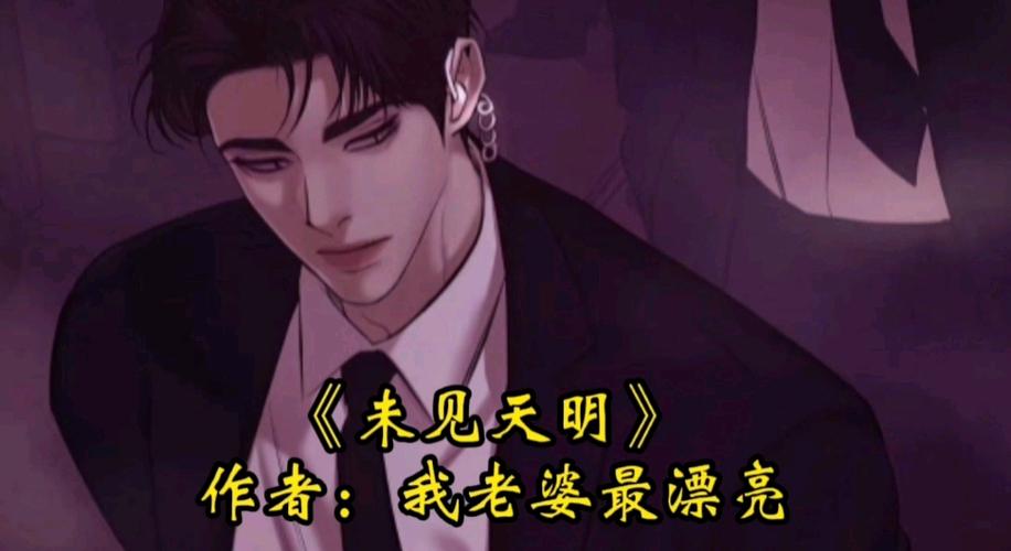 未见天明在线阅读图标