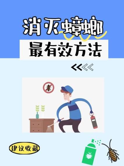 小强怎么才能彻底消灭图标