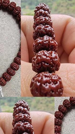 小金刚玩什么品种好看图标