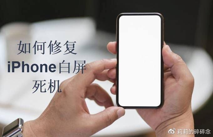 苹果手机反复重启白屏图标