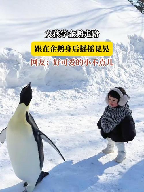 女生走路像企鹅的原因图标