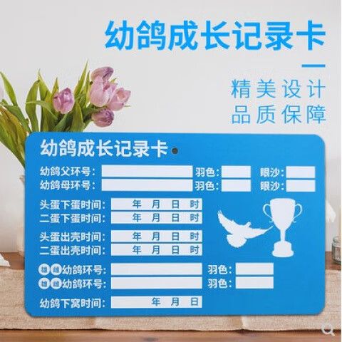 蓝鸽子是什么软件图标