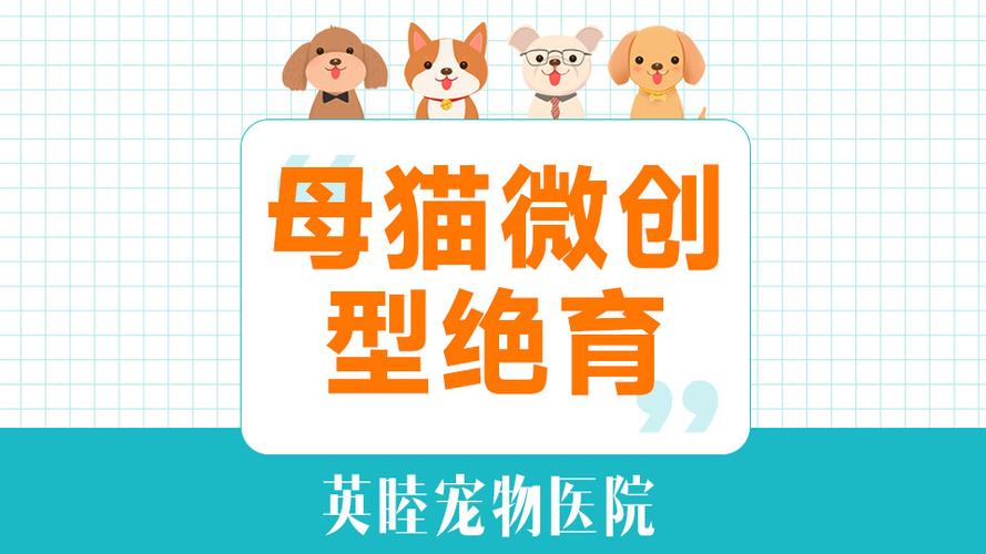 猫咪医院在线咨询截图