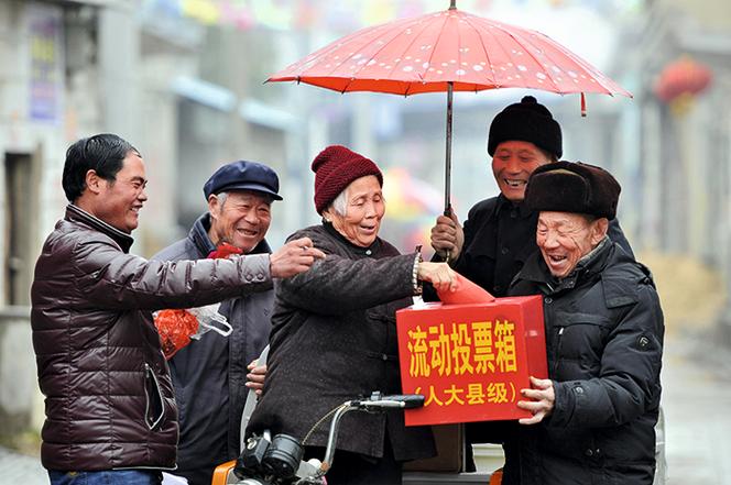 选民如何参与选举图标
