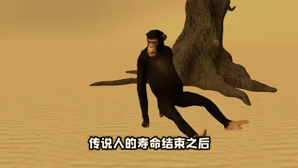 狒狒历险记合集图标