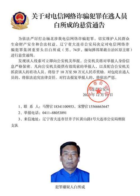 缅北盛源集团简介截图