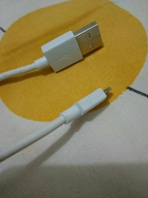 苹果充电器掉进水里还能用吗截图