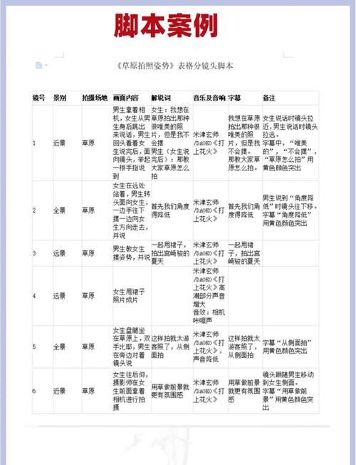 追风脚本图标