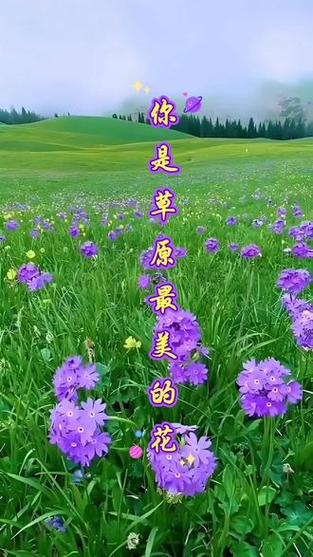 美在心中截图