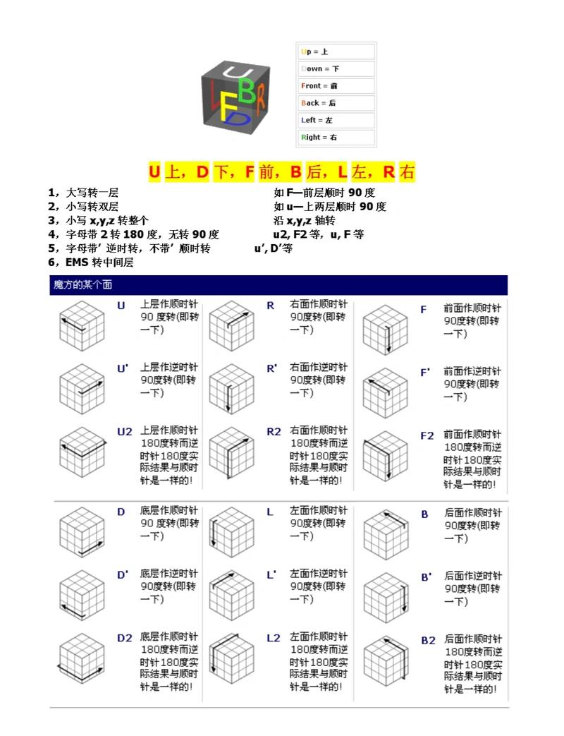 公式自动转化为数字