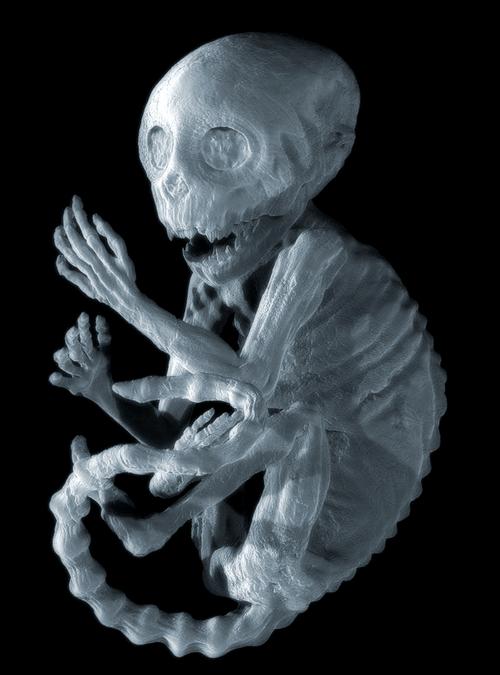 捕获!未知生物(CreatureGet!)图标