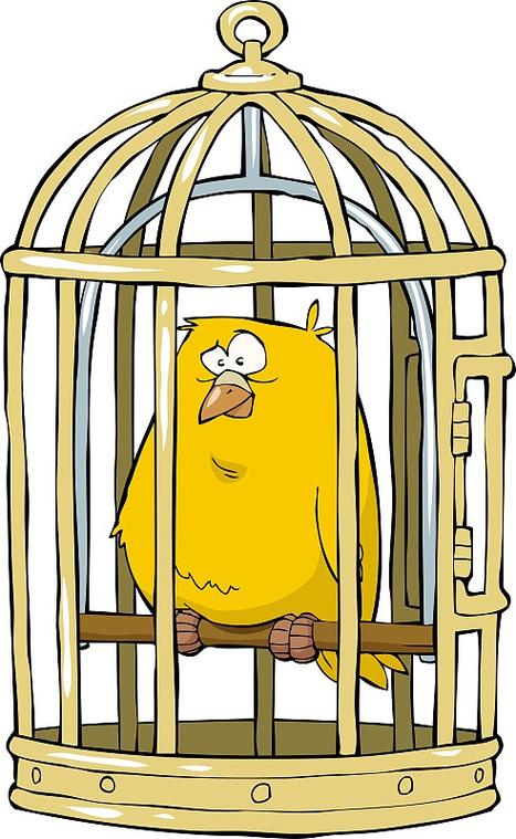 鸟笼里漫画讽刺了什么截图