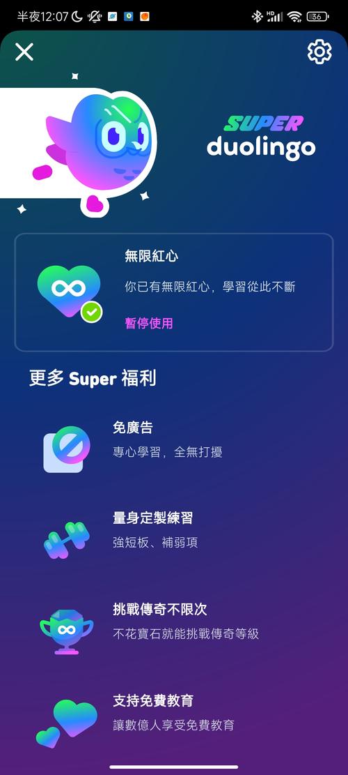 多邻国安装包苹果图标