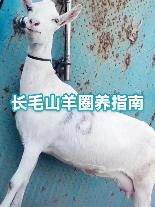 我的世界圈养动物图标