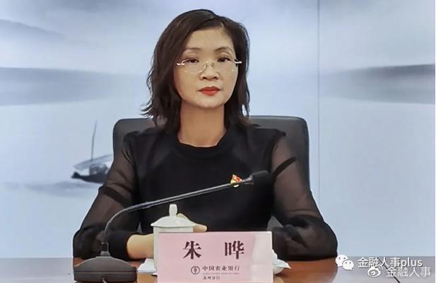 农业银行是什么编制图标