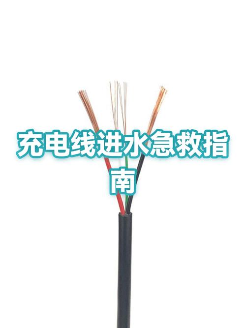 进水的充电器还能用吗图标