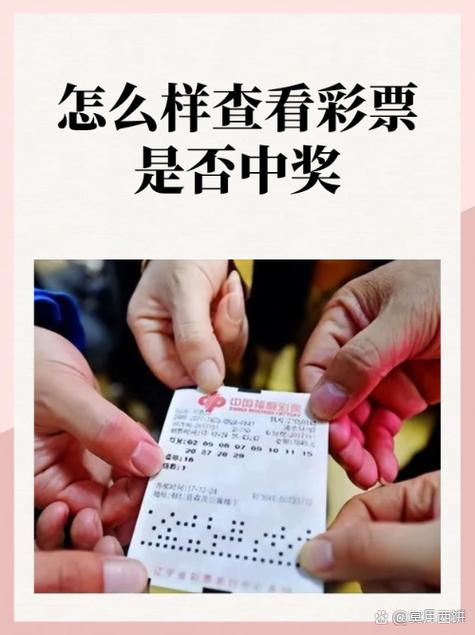 www.80846.com开奖结果查询图标