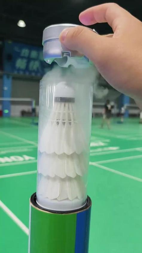 羽毛球突然放小球