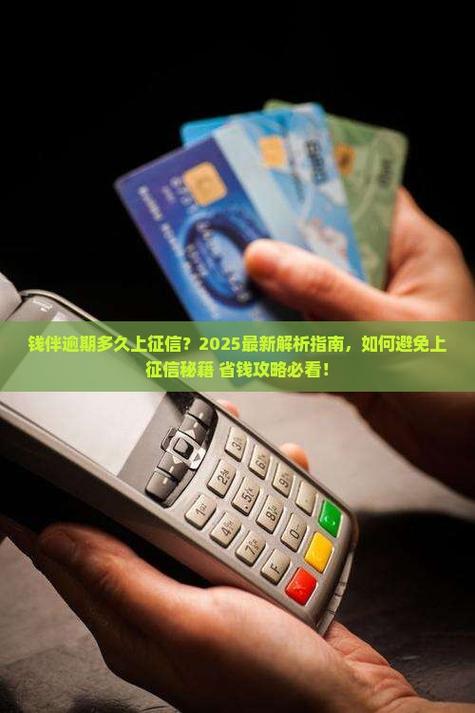 钱伴是什么图标