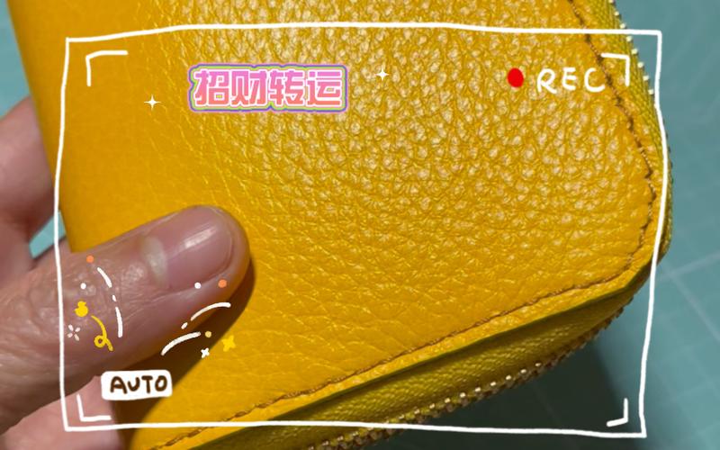 橘色的包包旺财吗截图