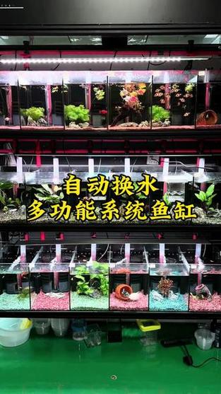 新缸养几天水可以养鱼图标